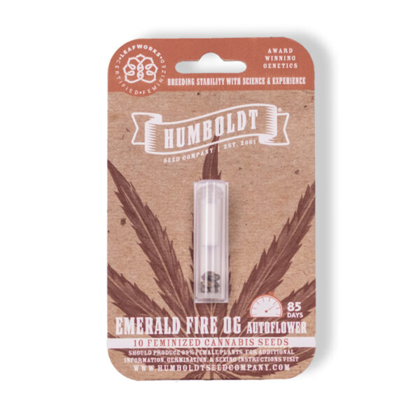Emerald Fire OG Autoflower Seeds - Humboldt Seed Company