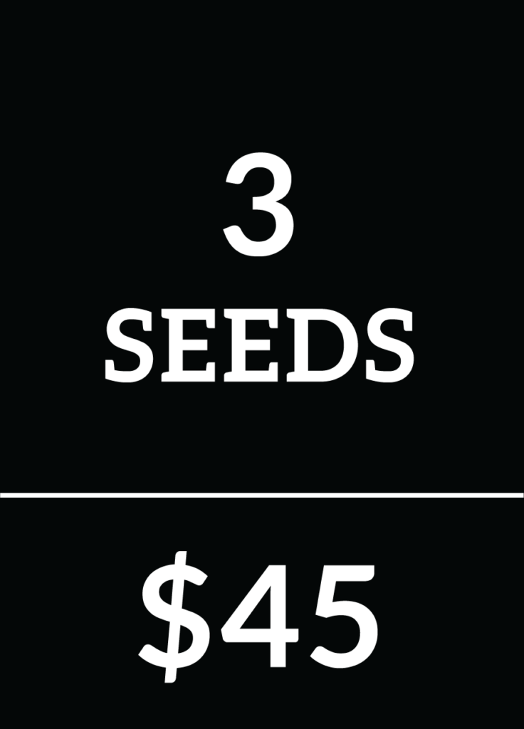 OG KUSH - FEMINIZED - Humboldt Seed Company